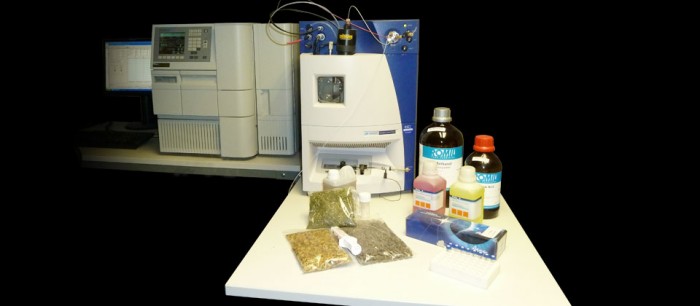 Analytical Services